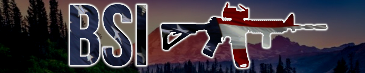 BSi Firearms - Store on GunBroker.com